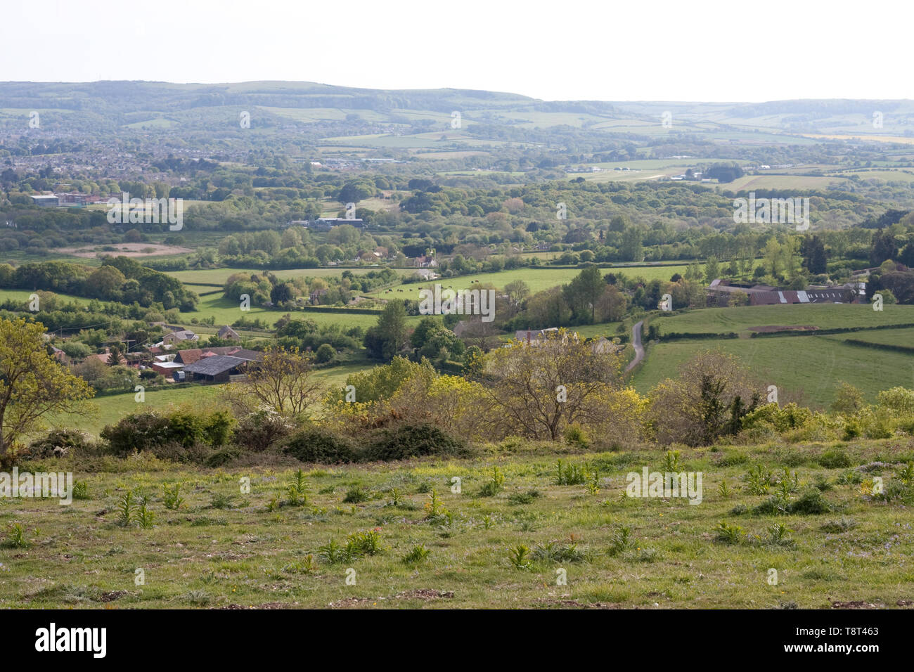 View from Brading Down viewpoint, Isle of Wight Stock Photo - Alamy