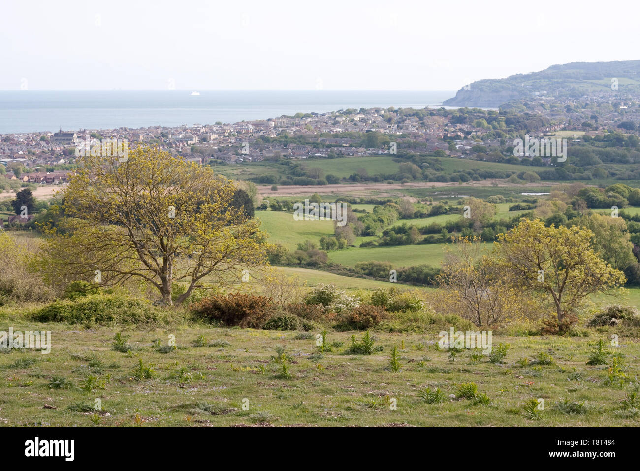 View from Brading Down viewpoint, Isle of Wight Stock Photo - Alamy