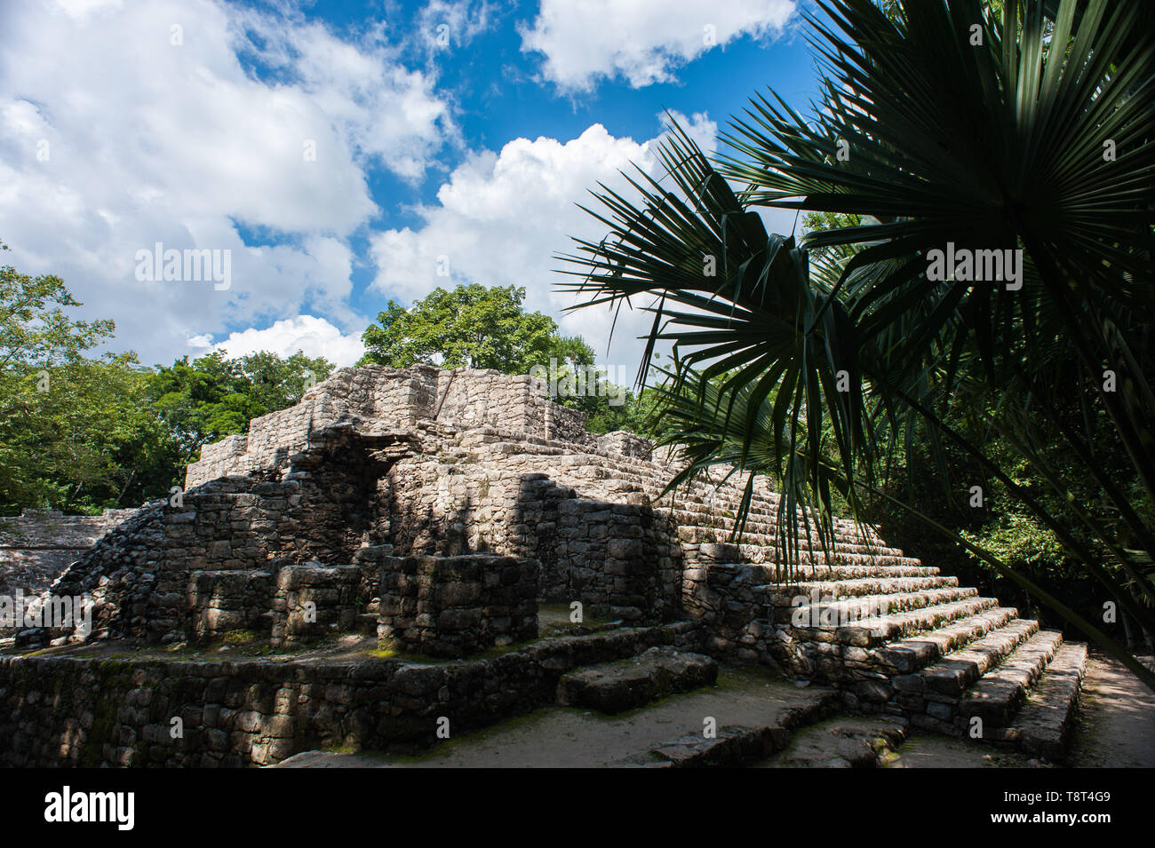 Mayan ruins of Coba. Yucatan. Mexico Stock Photo - Alamy