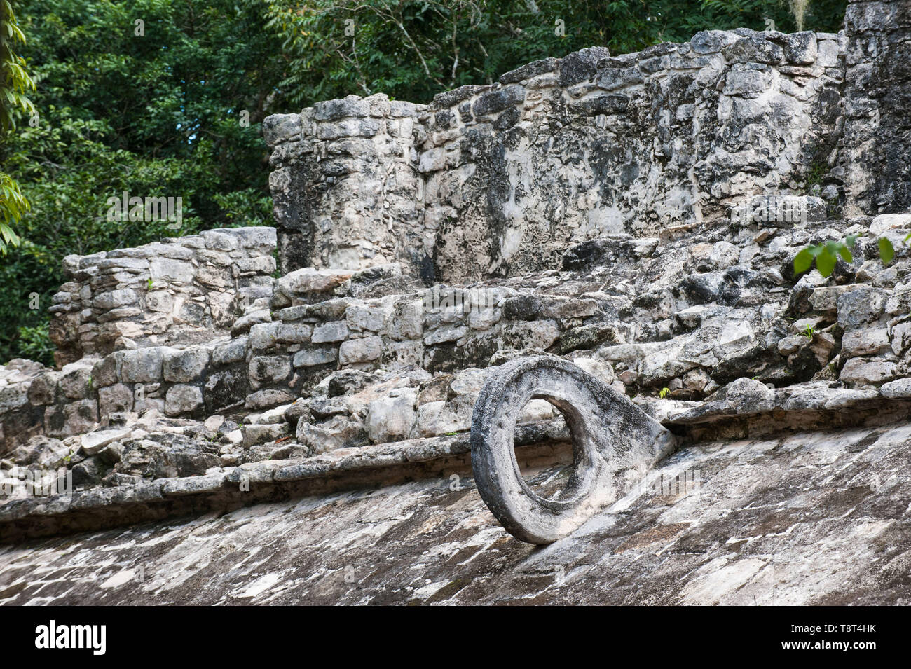 Mayan ruins of Coba. Yucatan. Mexico Stock Photo - Alamy