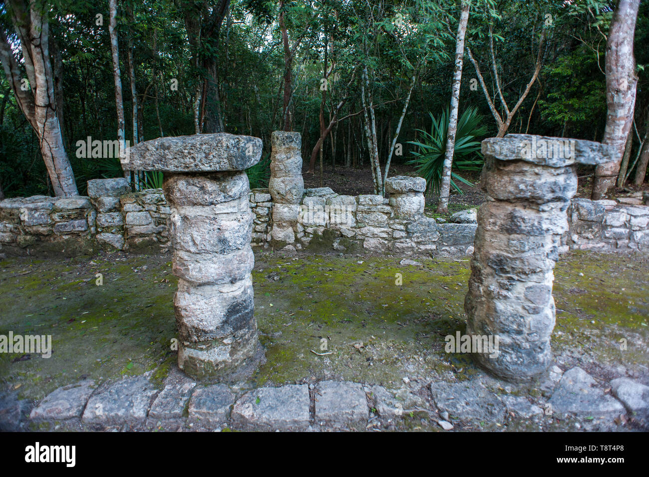 Cultura maya hi-res stock photography and images - Alamy