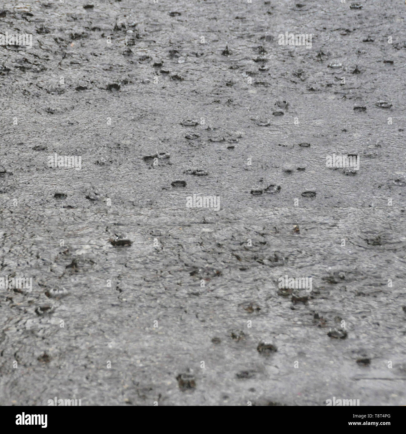 raindrops on asphalt road during heavy rain. rain drops background ...