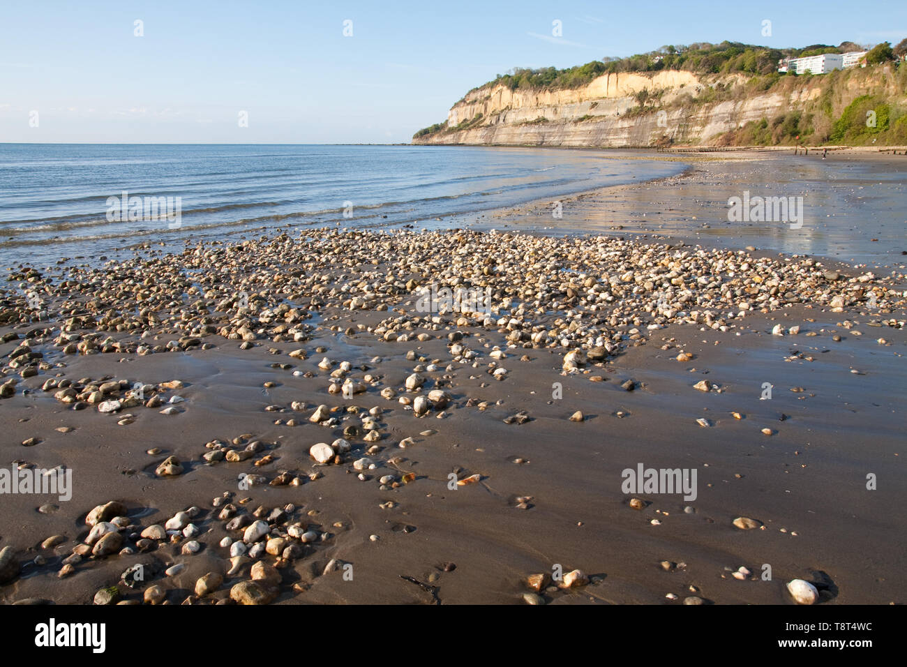 Shanklin beach looking towards Knock cliff on a sunny spring morning ...
