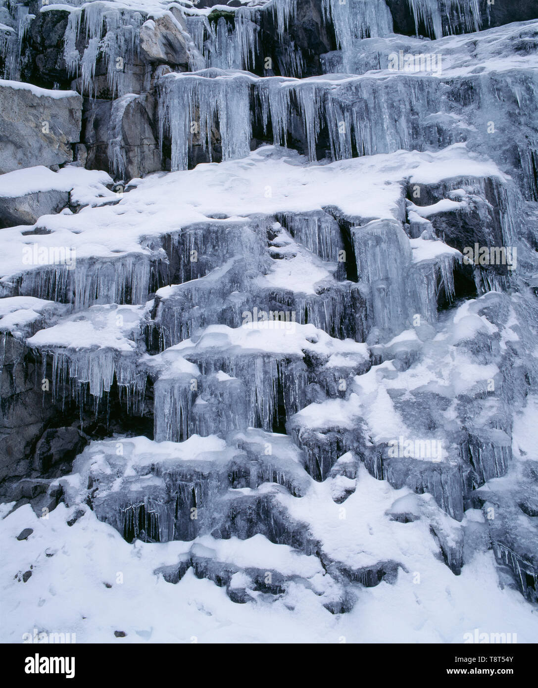 USA, Washington, Wenatchee National Forest, Icicles descend cliff face ...