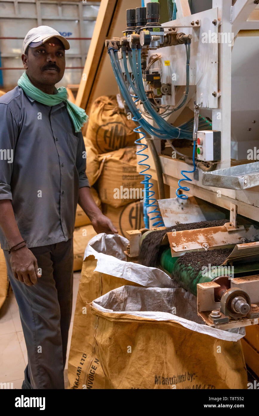 Packing factory india tea hi-res stock photography and images - Alamy