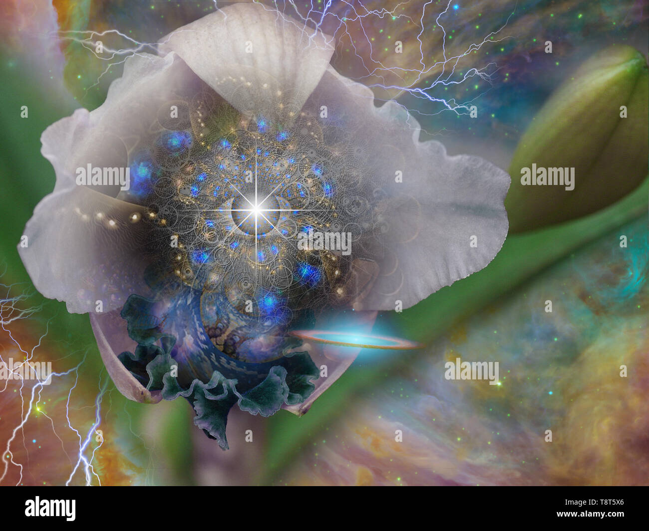 All seeing eye inside beautiful flower Stock Photo - Alamy