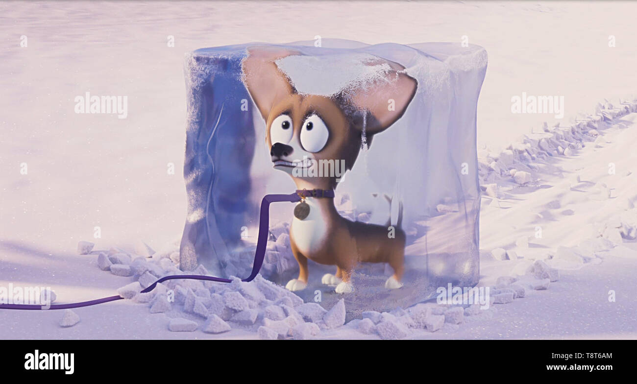 USA. A scene from the ©Columbia Pictures new movie: The Angry Birds ...