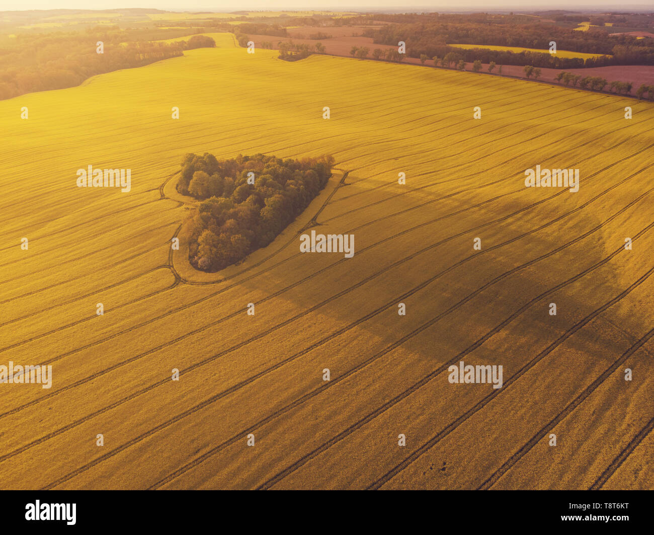 Heart of a nature, aerial view of distant heart shaped forest among ...
