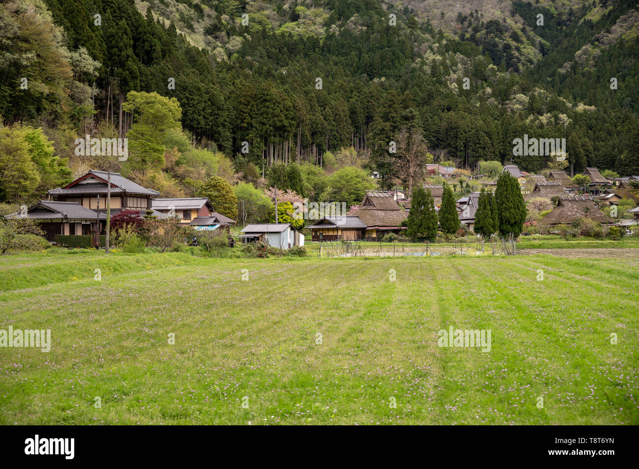 Green rice field before planting in small historic Japanese village ...