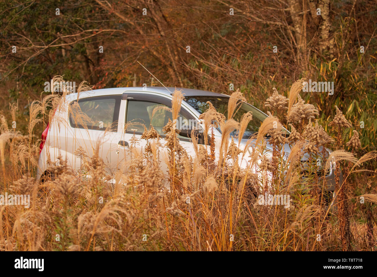 Parked hatchback hi-res stock photography and images - Alamy