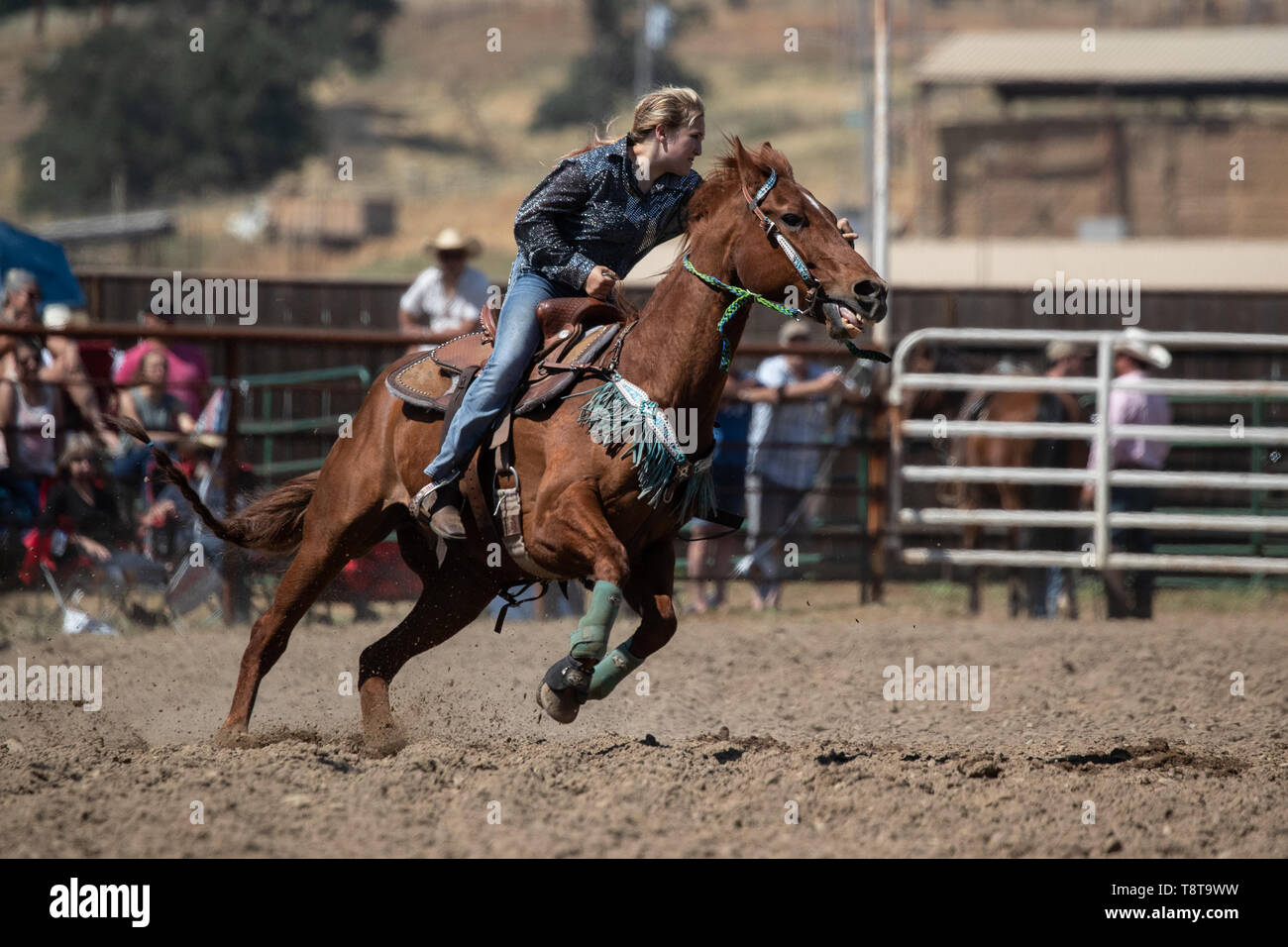 Rodeo action at the Cottonwood Rodeo in Northern California Stock Photo ...