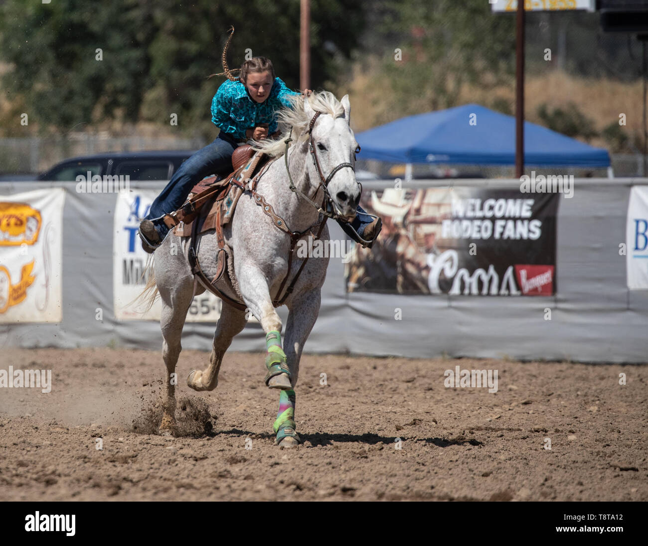 Rodeo action at the Cottonwood Rodeo in Northern California Stock Photo ...