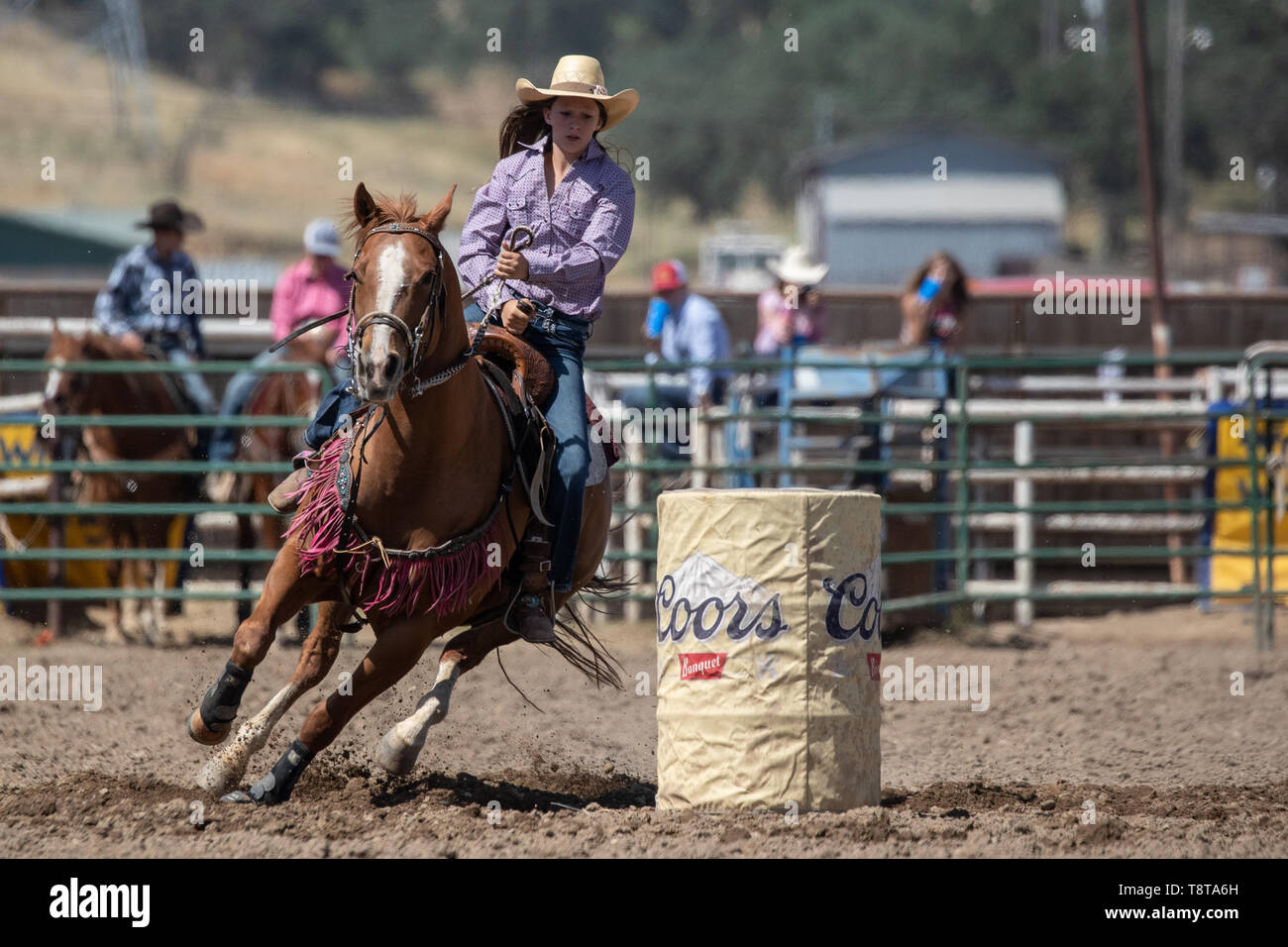 Rodeo action at the Cottonwood Rodeo in Northern California Stock Photo ...