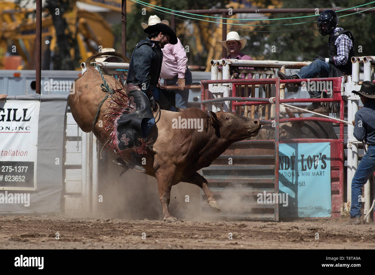 Rodeo action at the Cottonwood Rodeo in Northern California Stock Photo ...
