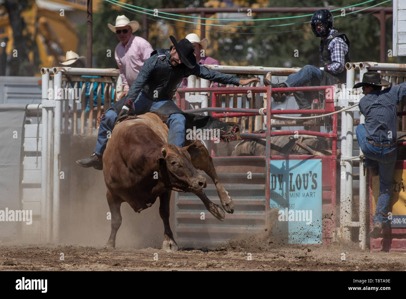 Rodeo action at the Cottonwood Rodeo in Northern California Stock Photo ...