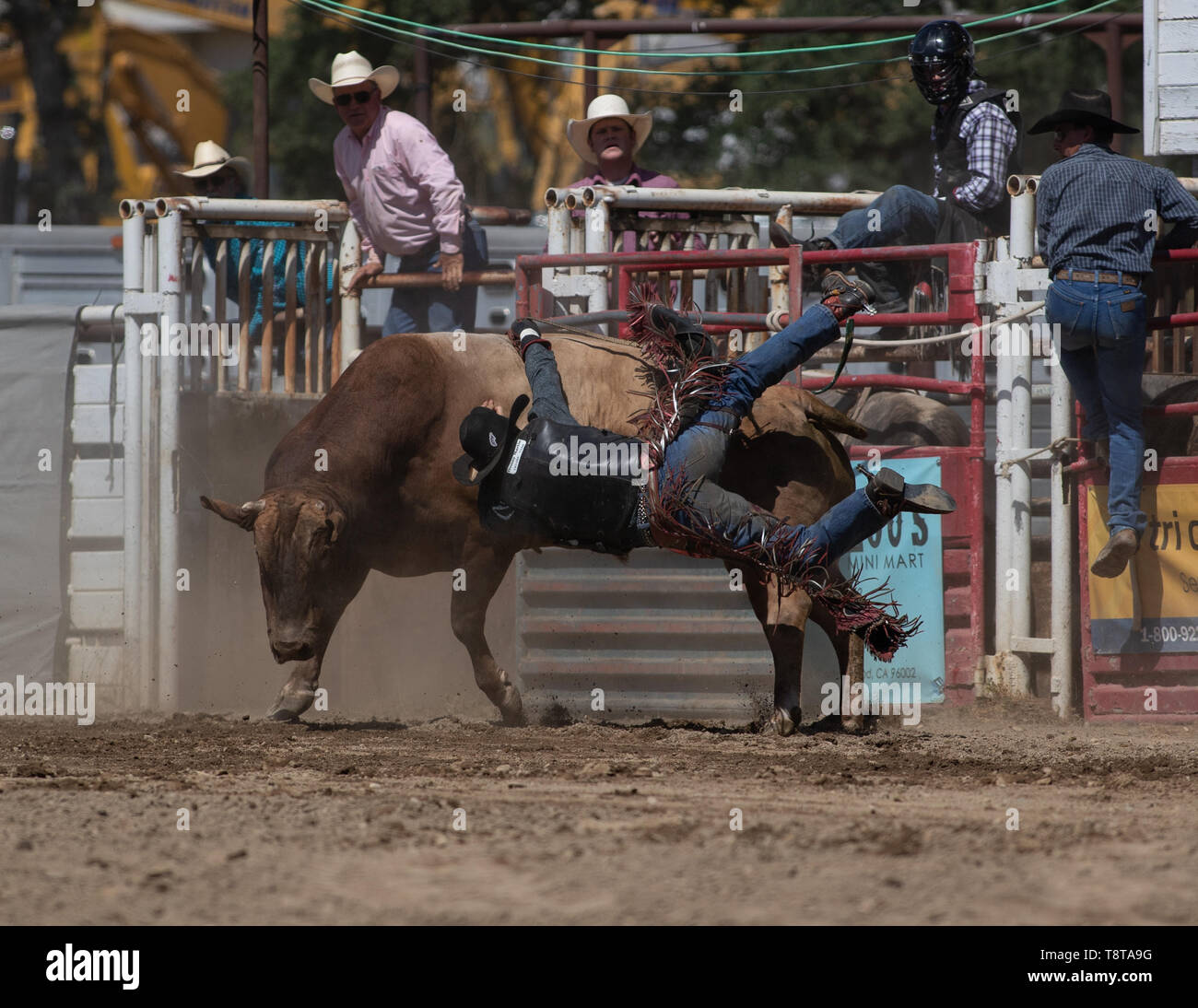 Rodeo action at the Cottonwood Rodeo in Northern California Stock Photo ...