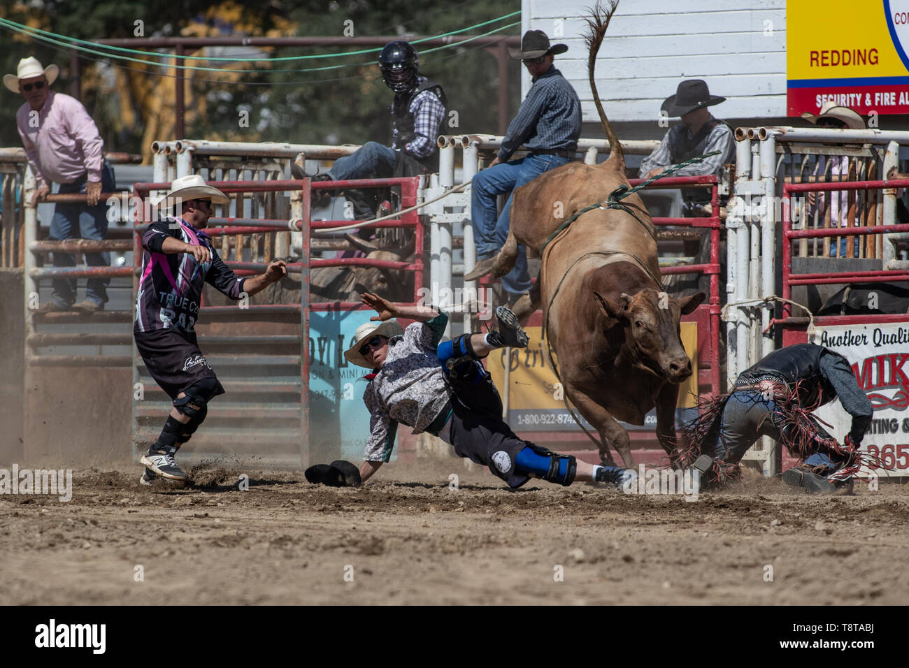 Rodeo action at the Cottonwood Rodeo in Northern California Stock Photo ...