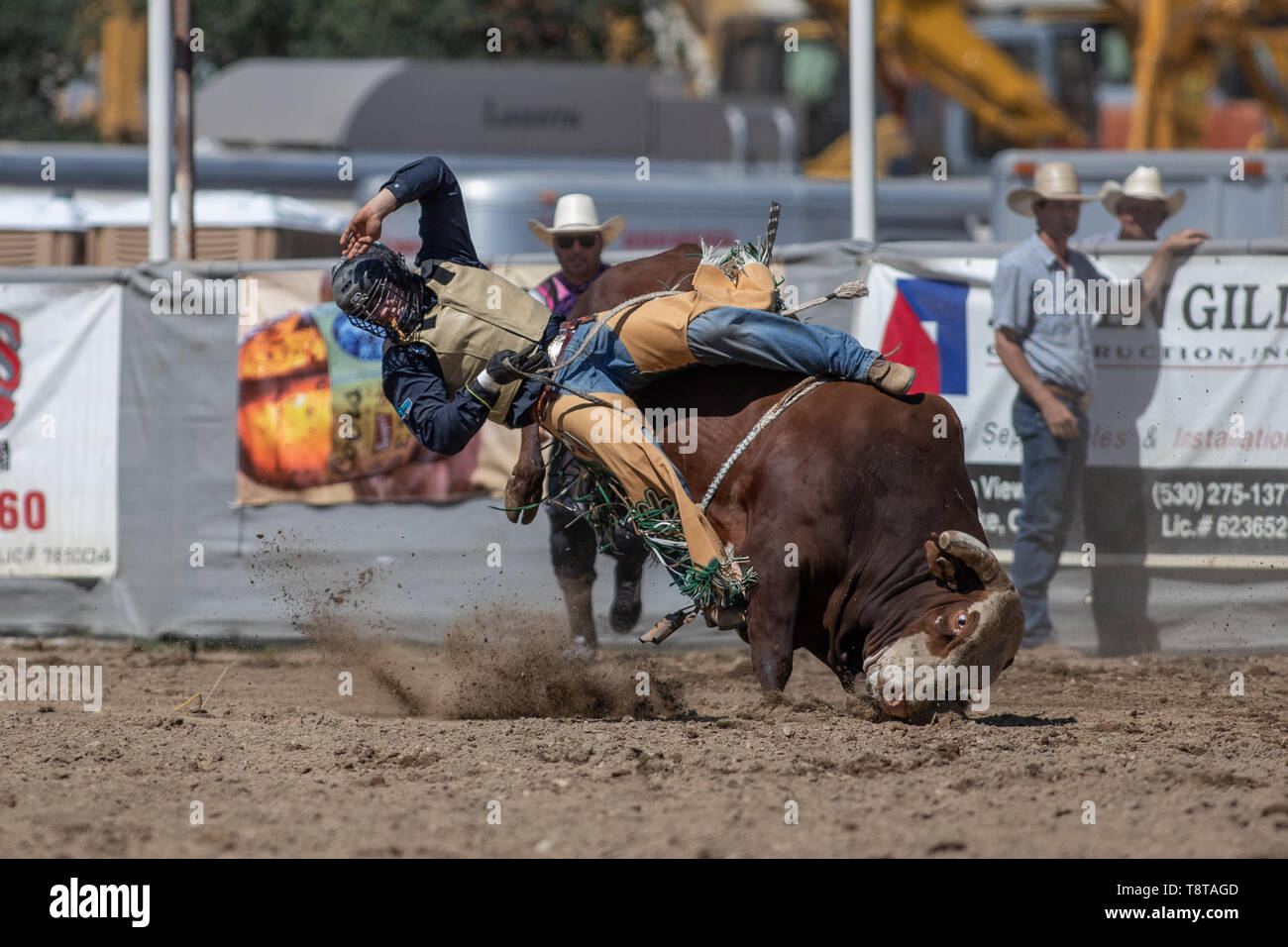Rodeo action at the Cottonwood Rodeo in Northern California Stock Photo ...