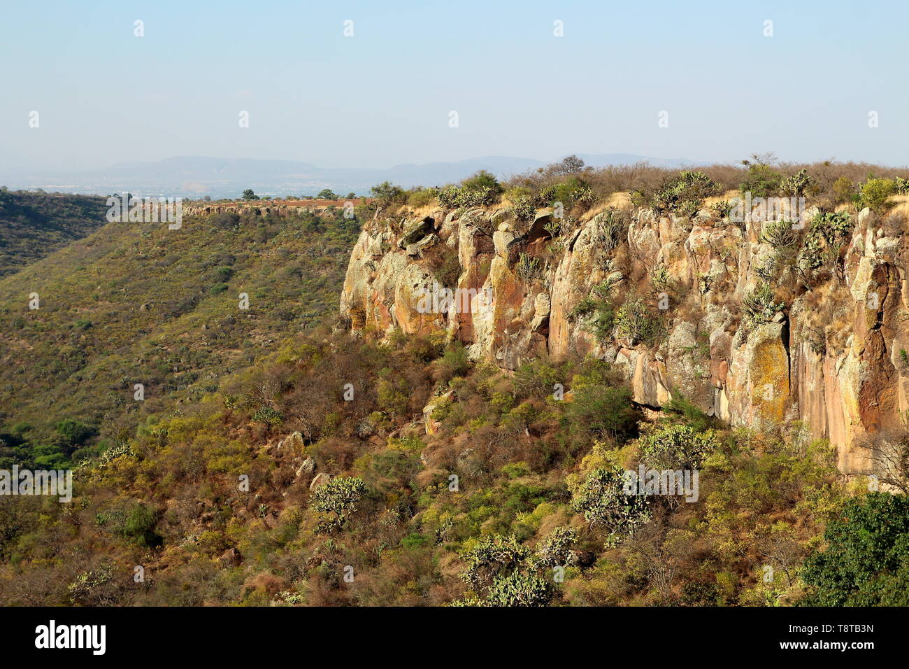 Cañon de Amealco. Barranca de Amealco near Amealco de Bonfil Stock ...