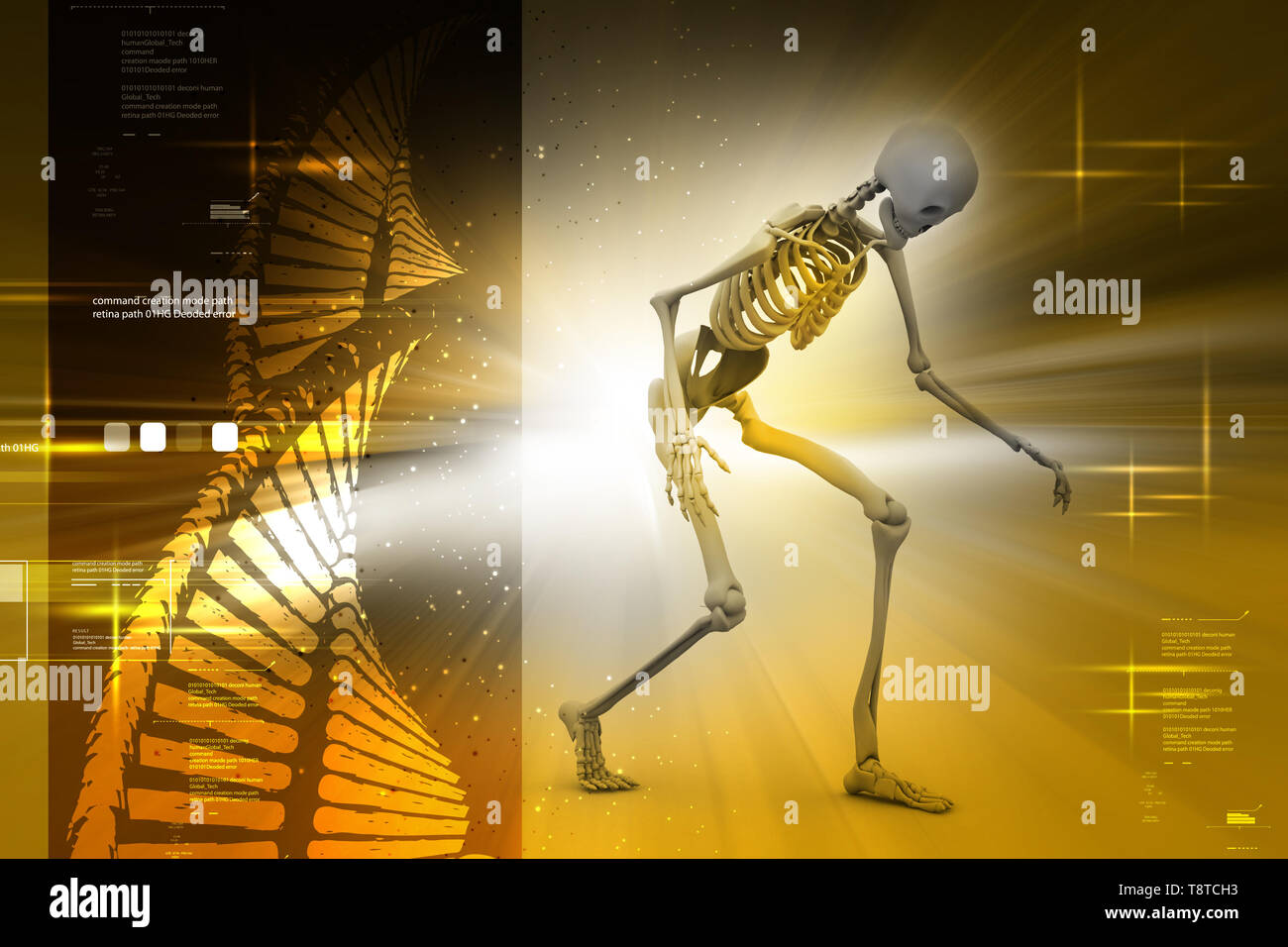 Human spine 3d mesh hi-res stock photography and images - Alamy