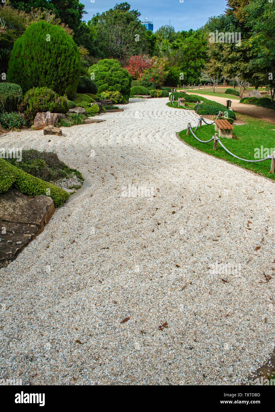 Japanese maple park hi-res stock photography and images - Alamy