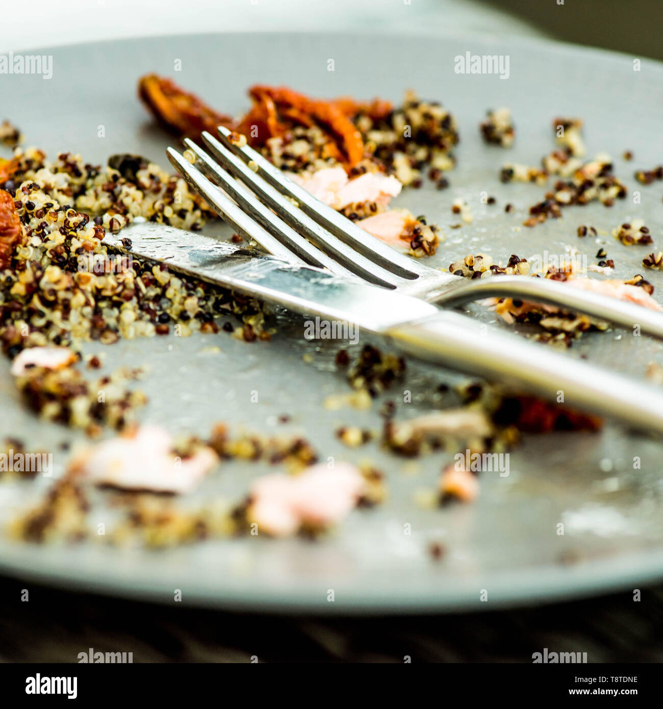 Empty dinner plate after meal hi-res stock photography and images - Alamy