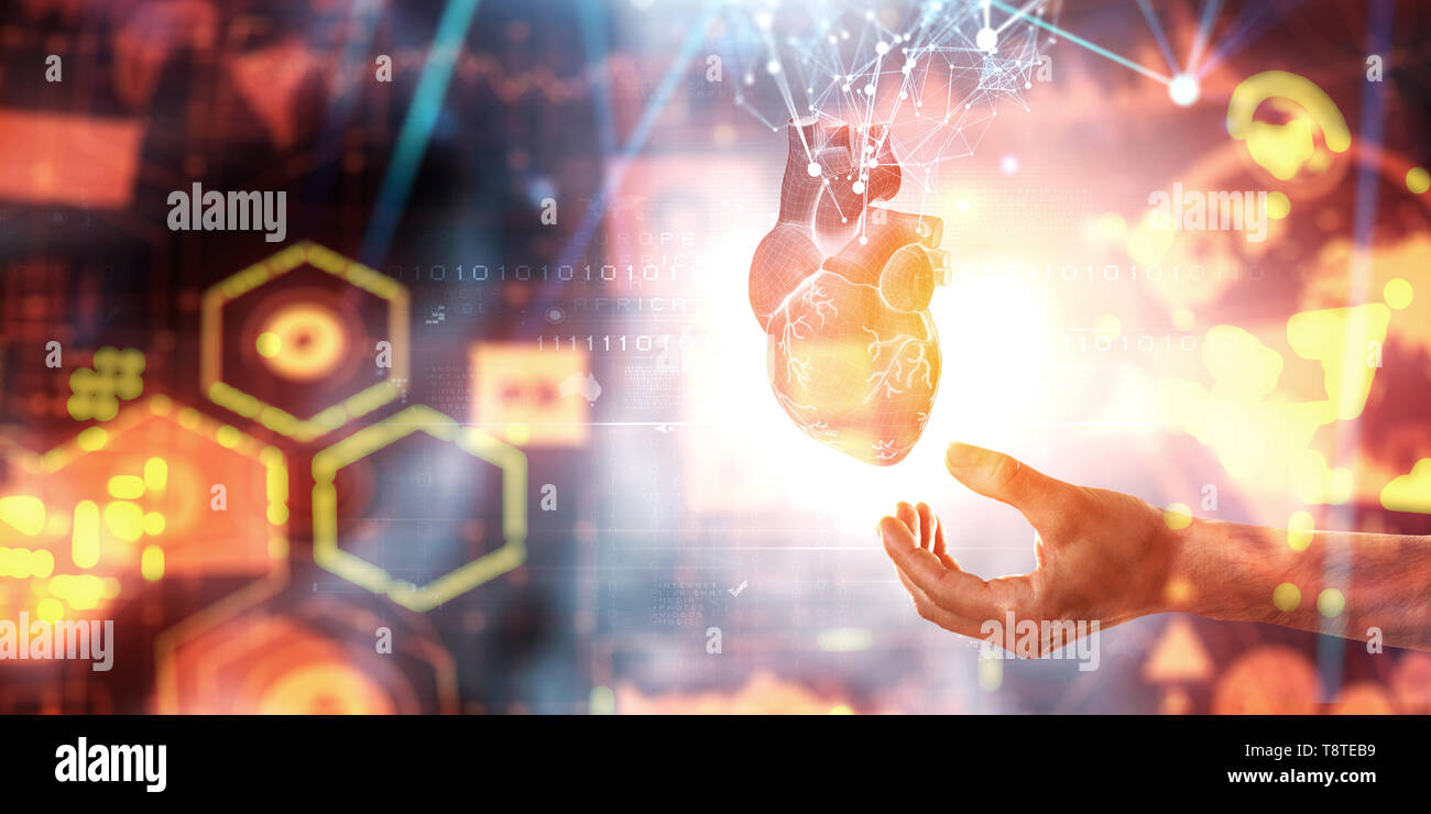 Anatomical heart model hi-res stock photography and images - Alamy