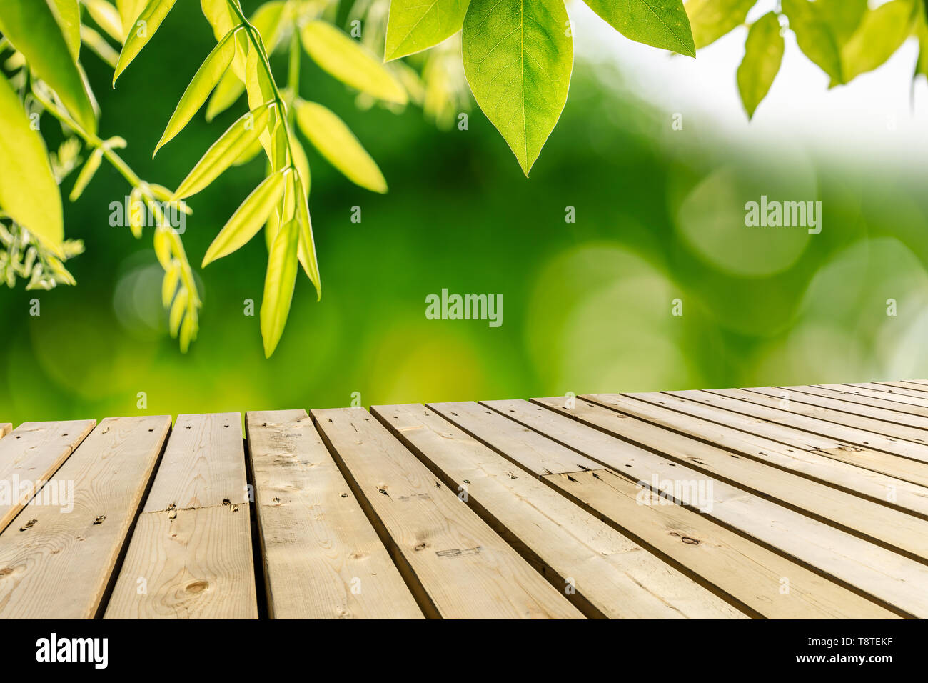 Empty wood plank table top with park green nature background Stock ...