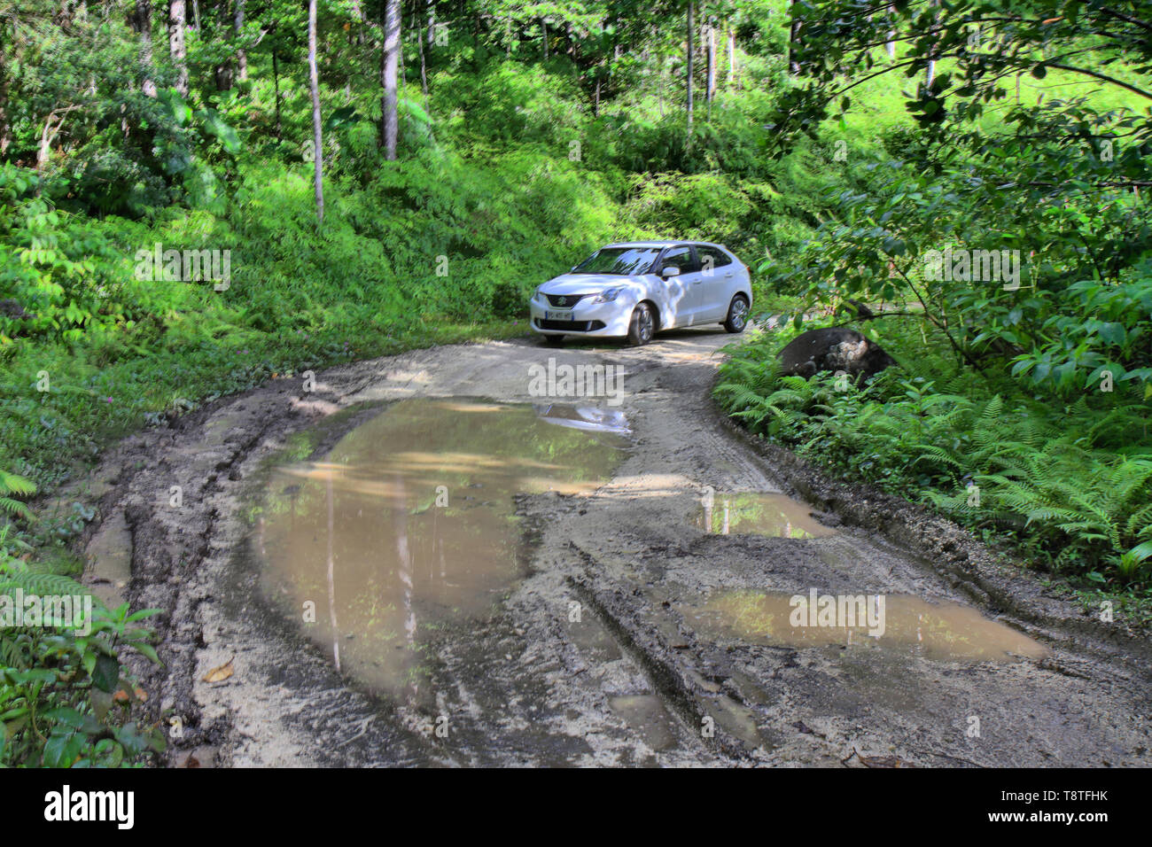 Guadeloupe france caribbean rainforest hi-res stock photography and ...