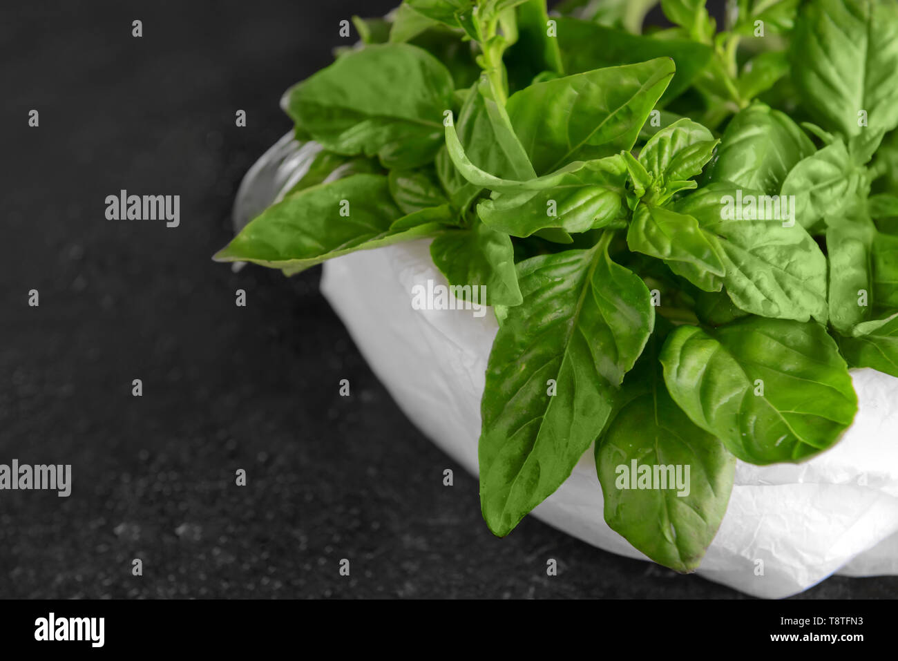 Wet parchment hi-res stock photography and images - Alamy