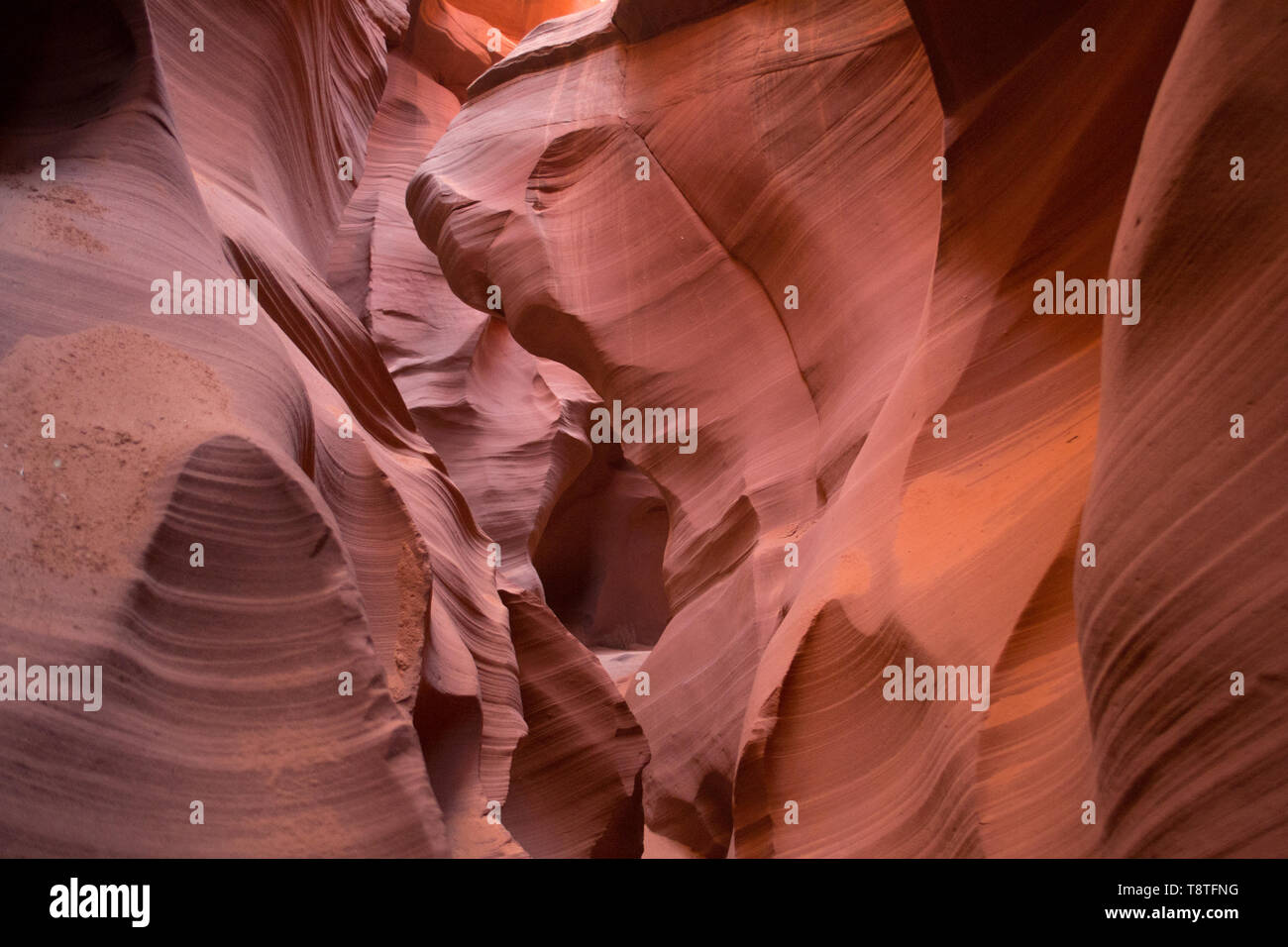 View on the eroded sand stone of Antelope Canyon, near Page, Arizona ...