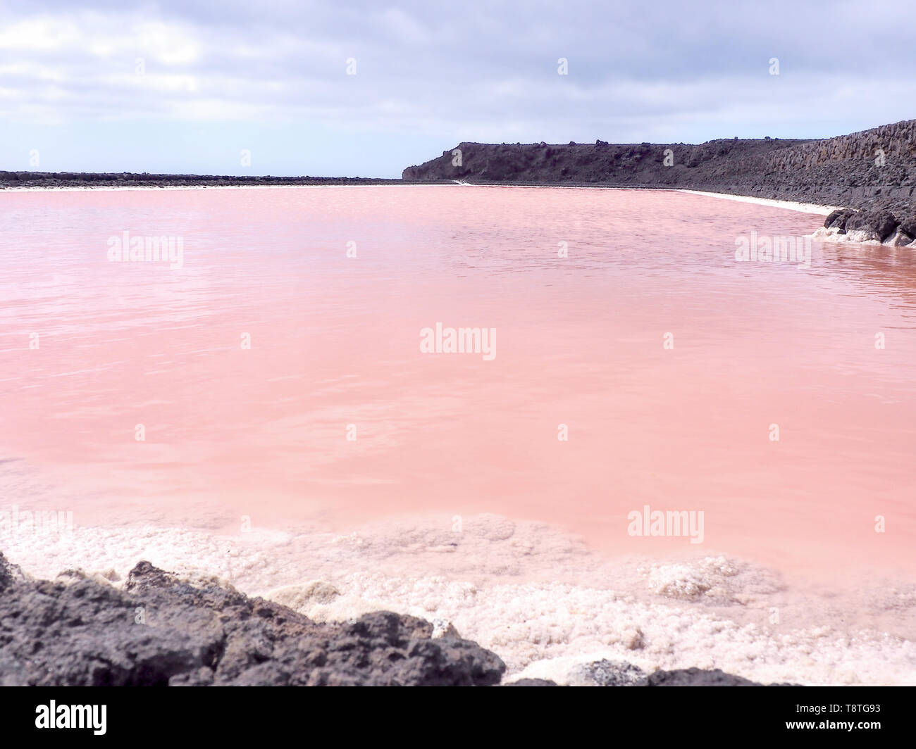 Saline algae hi-res stock photography and images - Alamy