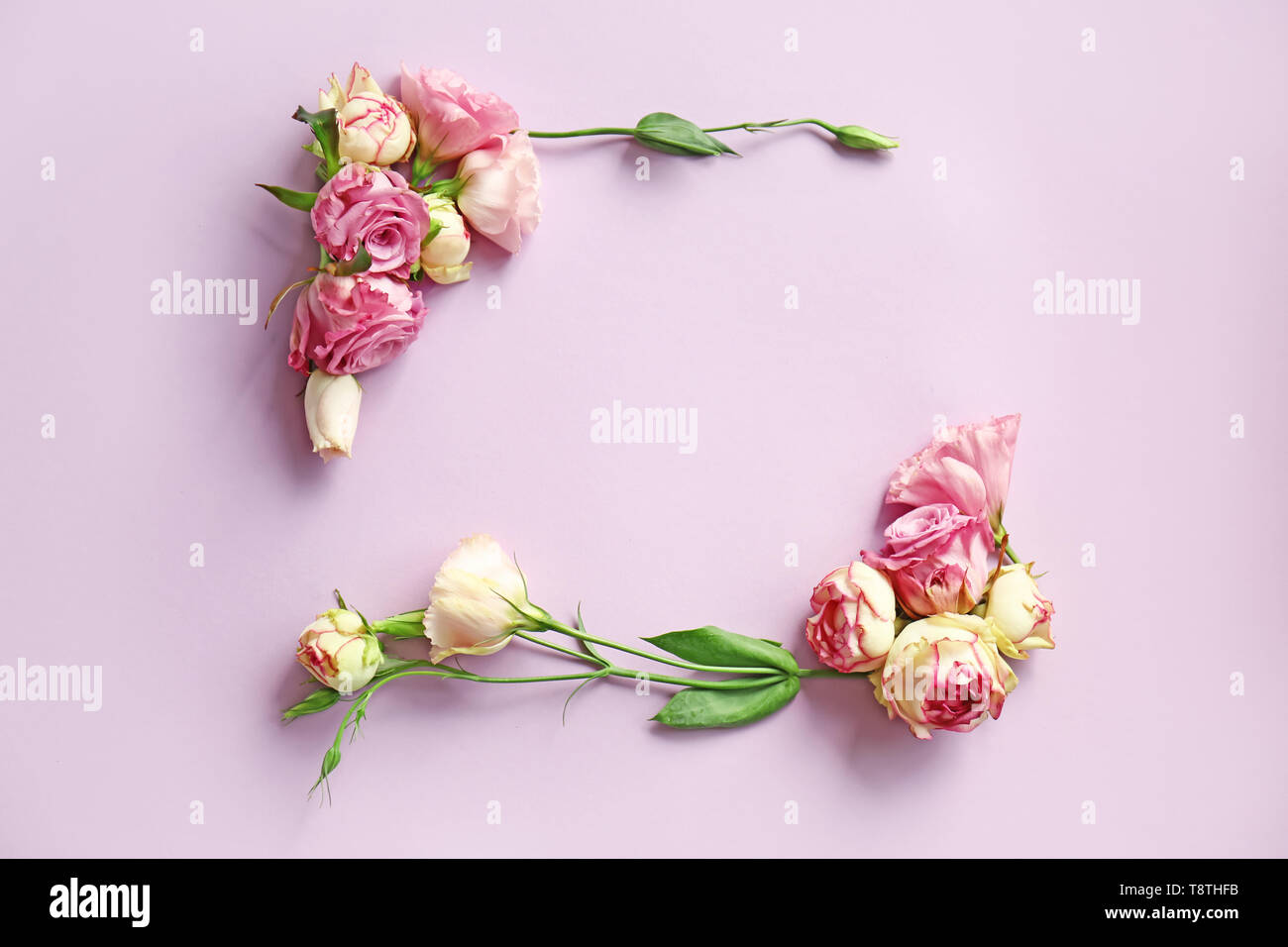 Pion frame hi-res stock photography and images - Alamy