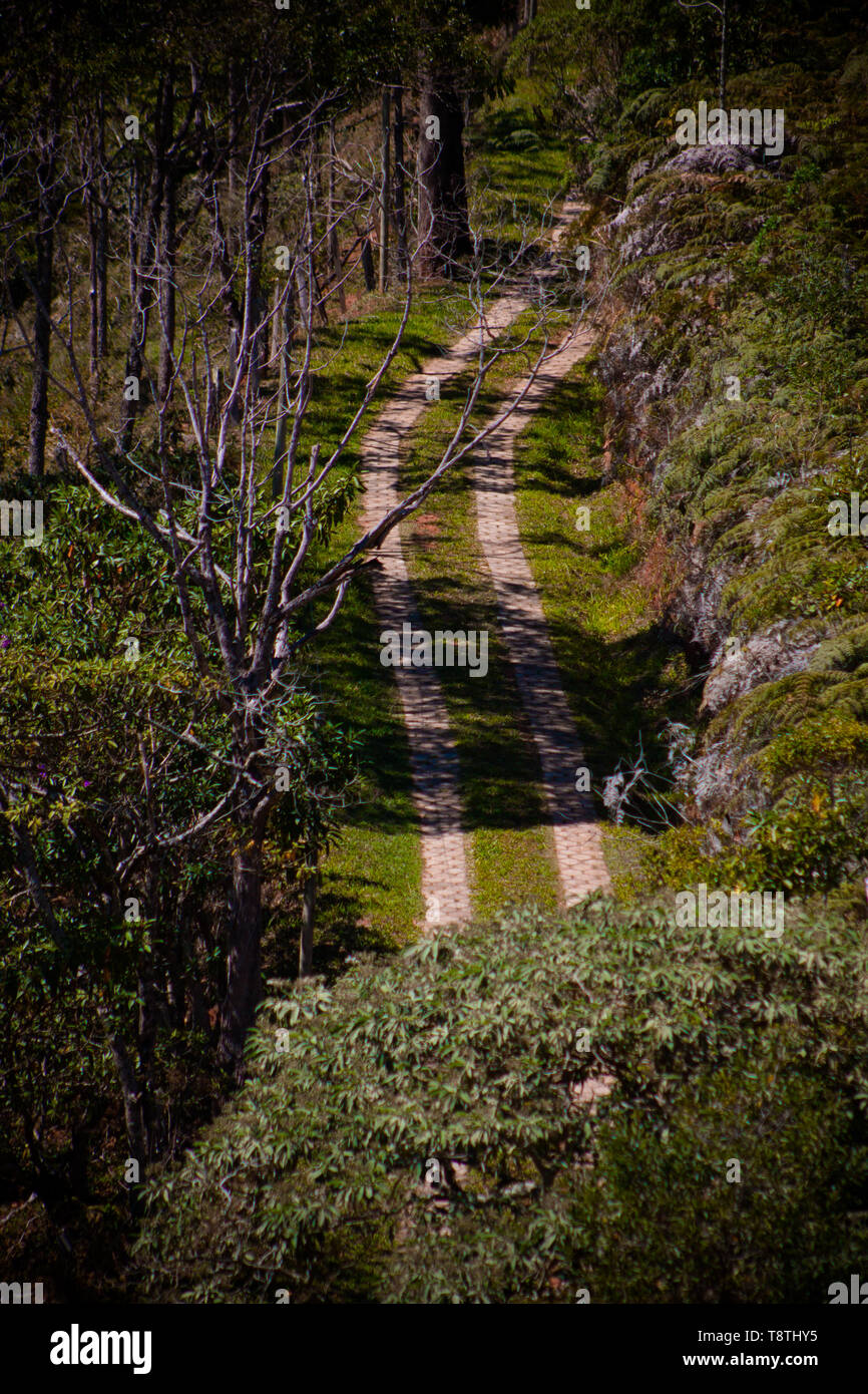 various food dishes, pizza, sphirra, snacks and various Stock Photo - Alamy