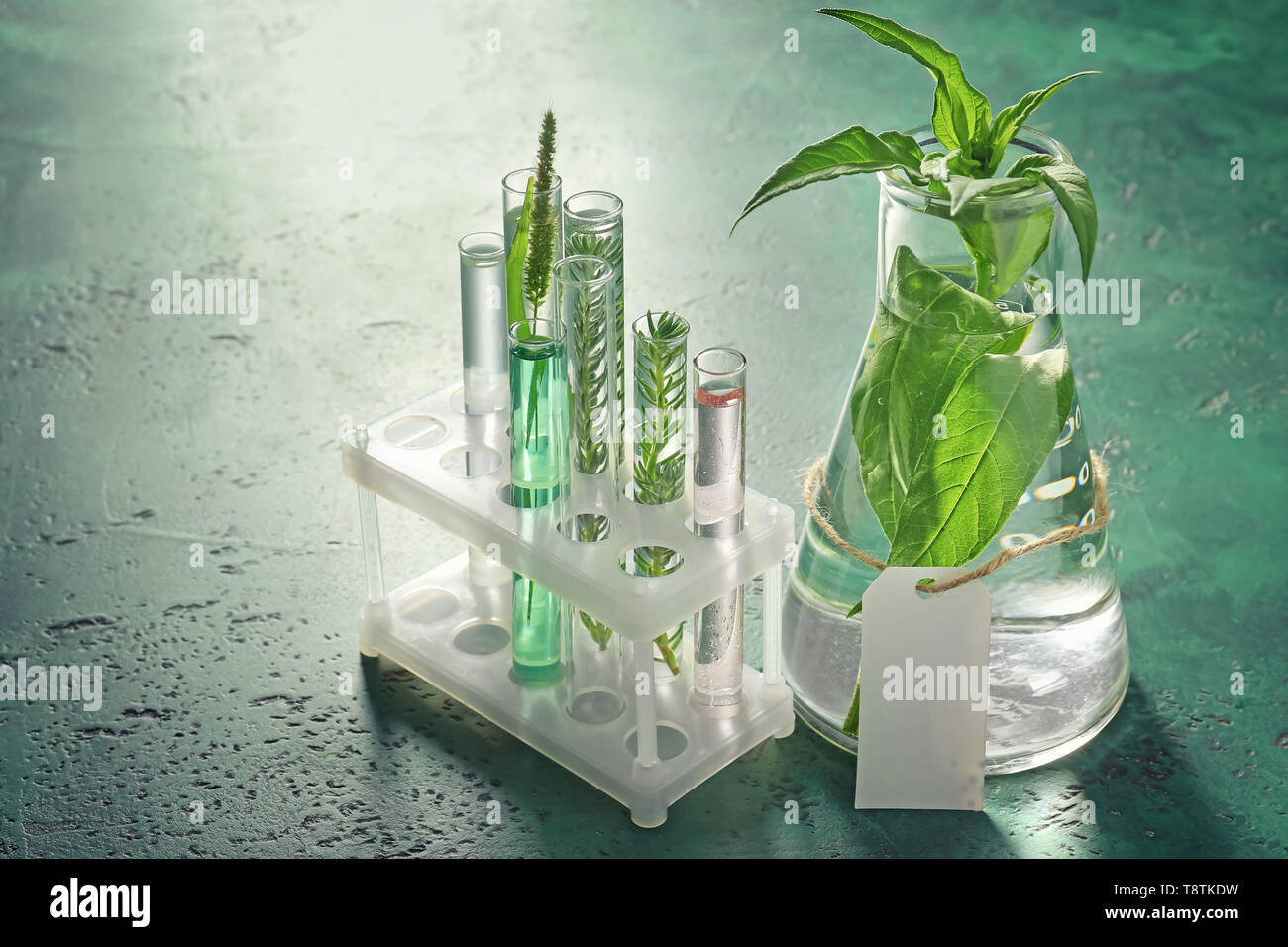 Test tubes and flask with plants on color table Stock Photo - Alamy