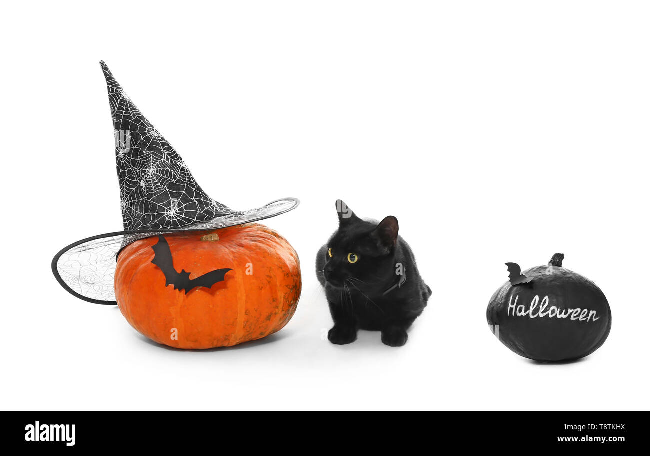 Black white cat autumn Cut Out Stock Images & Pictures - Alamy