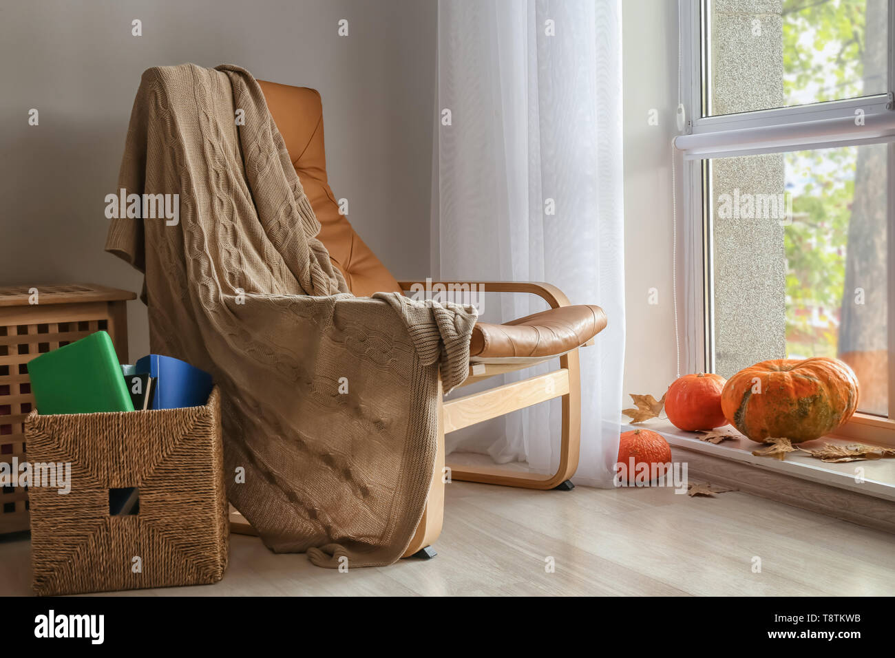 Cozy armchair for rest near window Stock Photo - Alamy