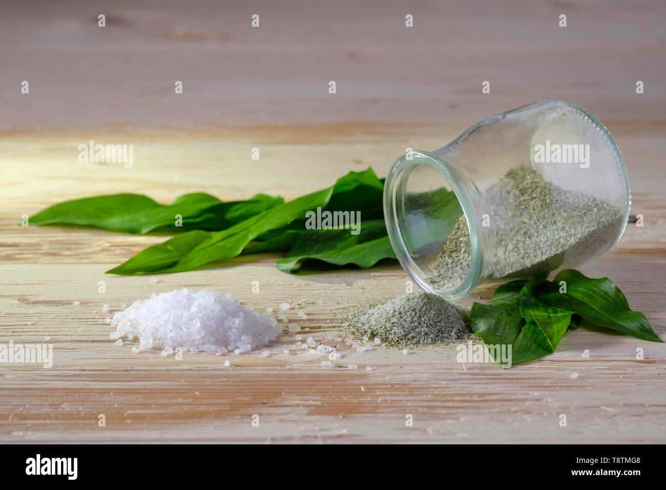Herbal salt with Ramsom (Allium ursinum), Germany Stock Photo - Alamy