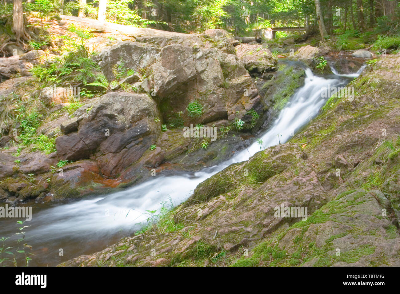 Overlooked Falls, Porcupine Mountains Wilderness State Park, Michigan ...
