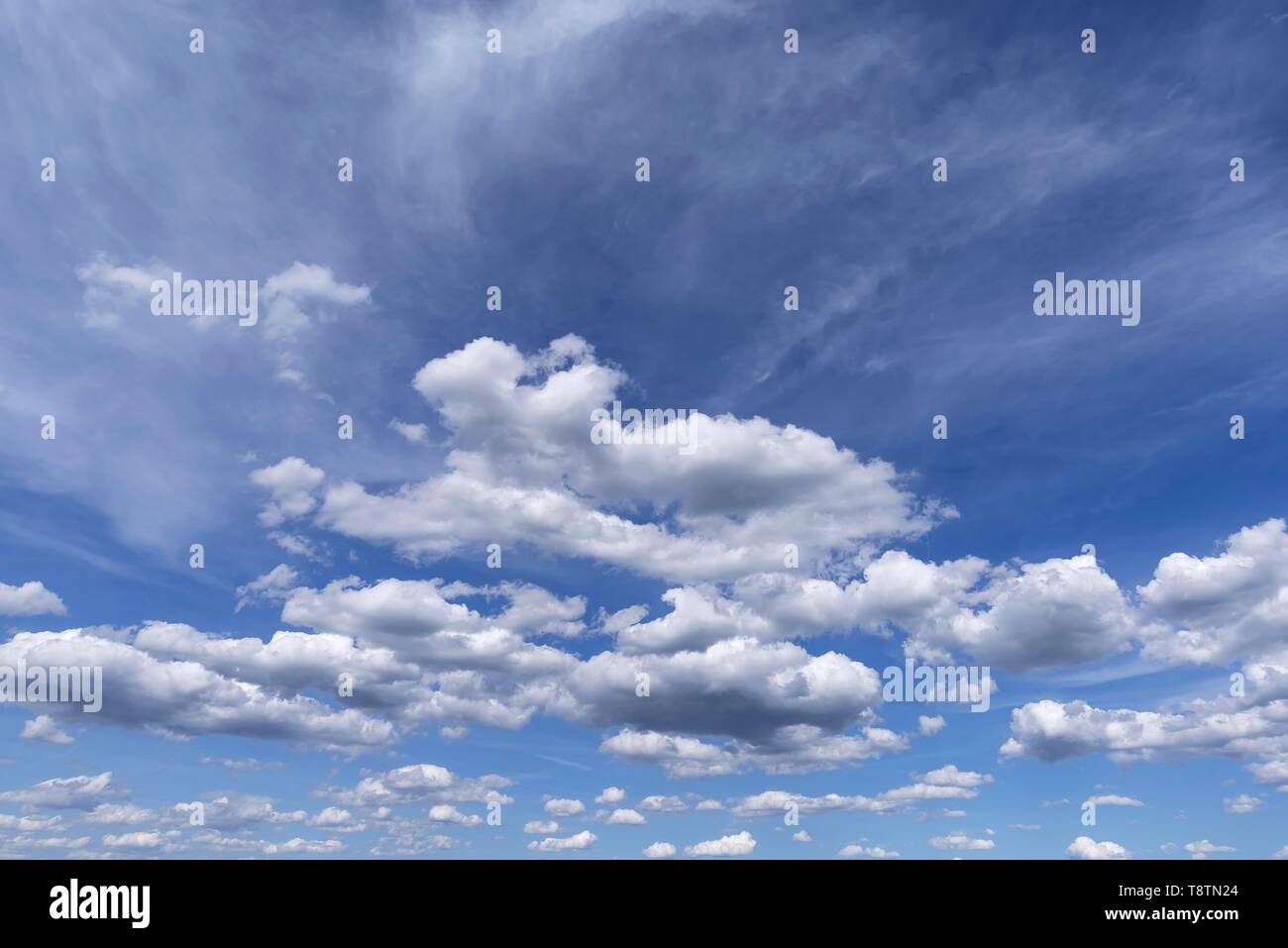Cumulus humilis clouds cumulus humilis in the blue sky hi-res stock ...