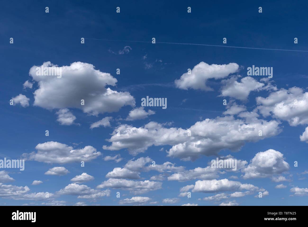 Cumulus humilis clouds (Cumulus humilis) in the blue sky, Bavaria ...