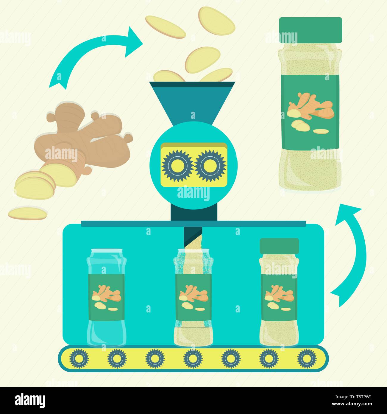 Ginger processing Stock Vector Images - Alamy