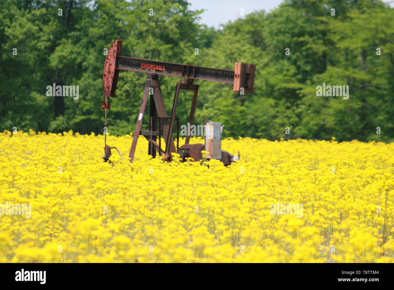 Southern illinois landscape hi-res stock photography and images - Alamy