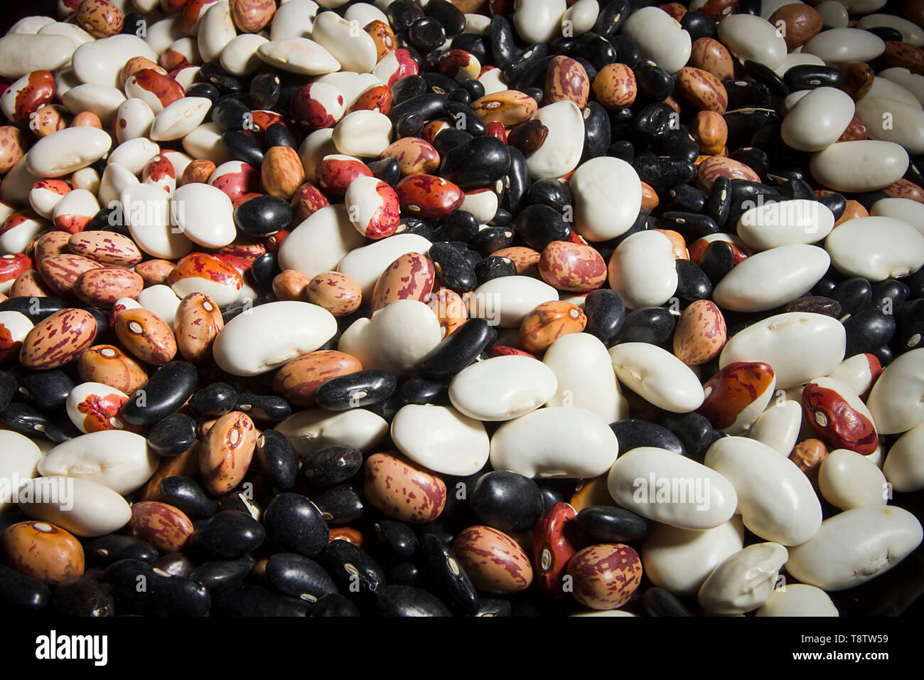 Mix of different in size and color of beans Stock Photo - Alamy