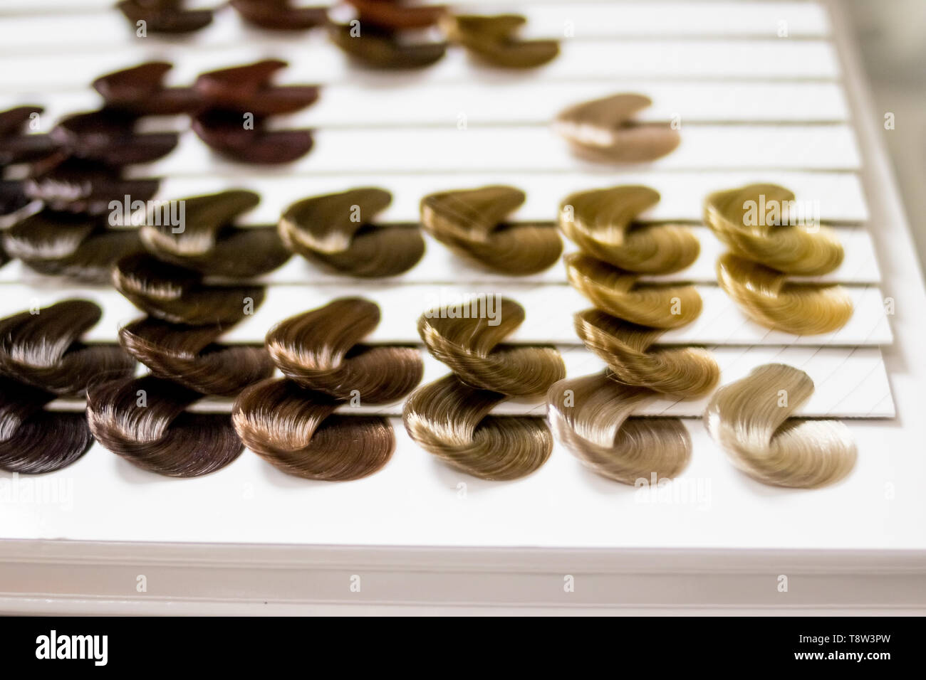 Complete set of locks of all the most used hair color samples, rounded ...