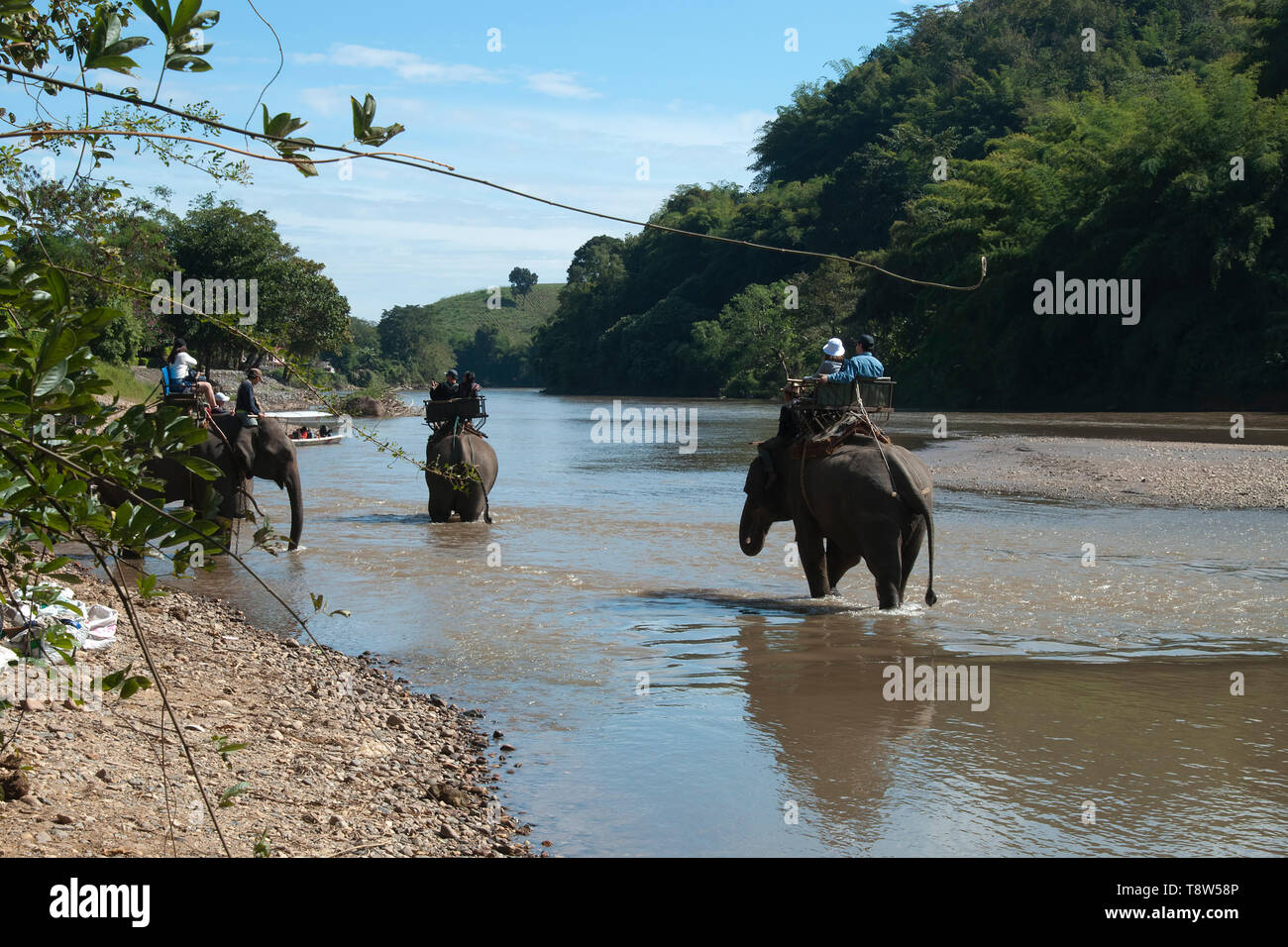 Chiang rai thailand jan hi-res stock photography and images - Alamy