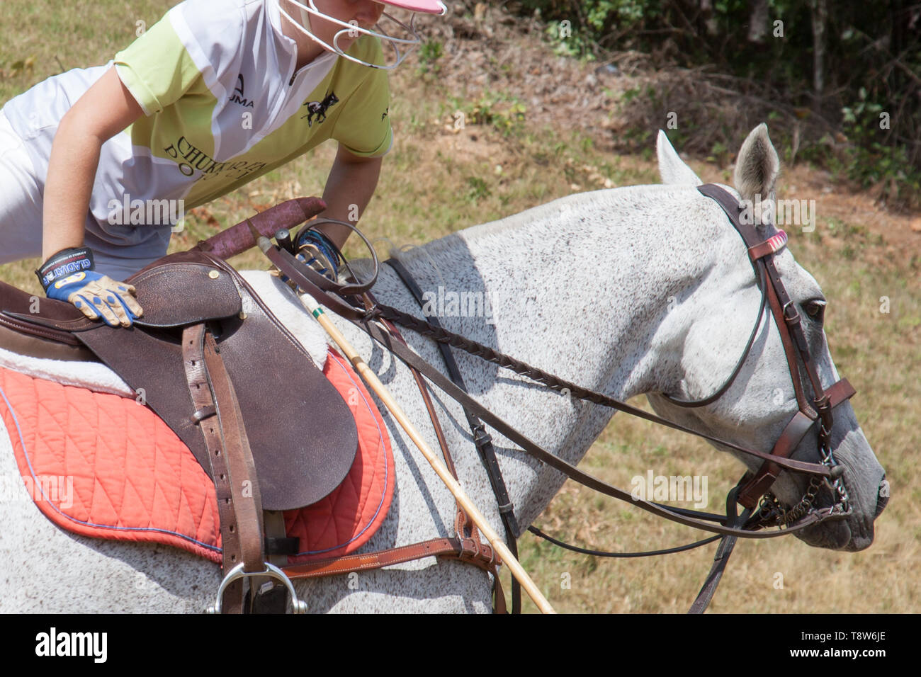 Mounting horse hi-res stock photography and images - Alamy