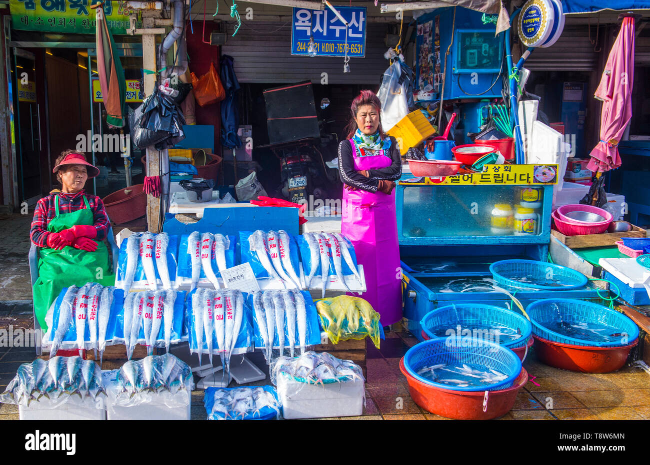 The Jagalchi Fish Market in Busan South Korea Stock Photo - Alamy