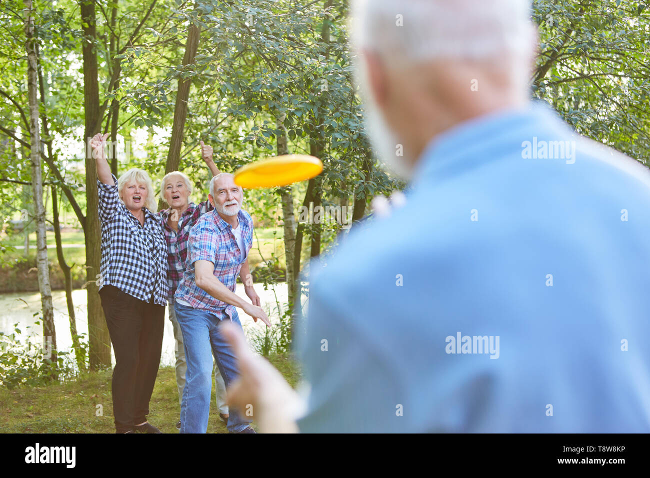 Seniors enjoy playing Frisbee game in summer on vacation in the garden ...