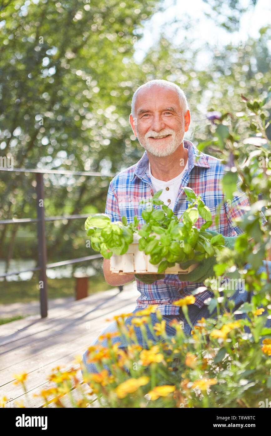 Man garden planting flower hi-res stock photography and images - Alamy